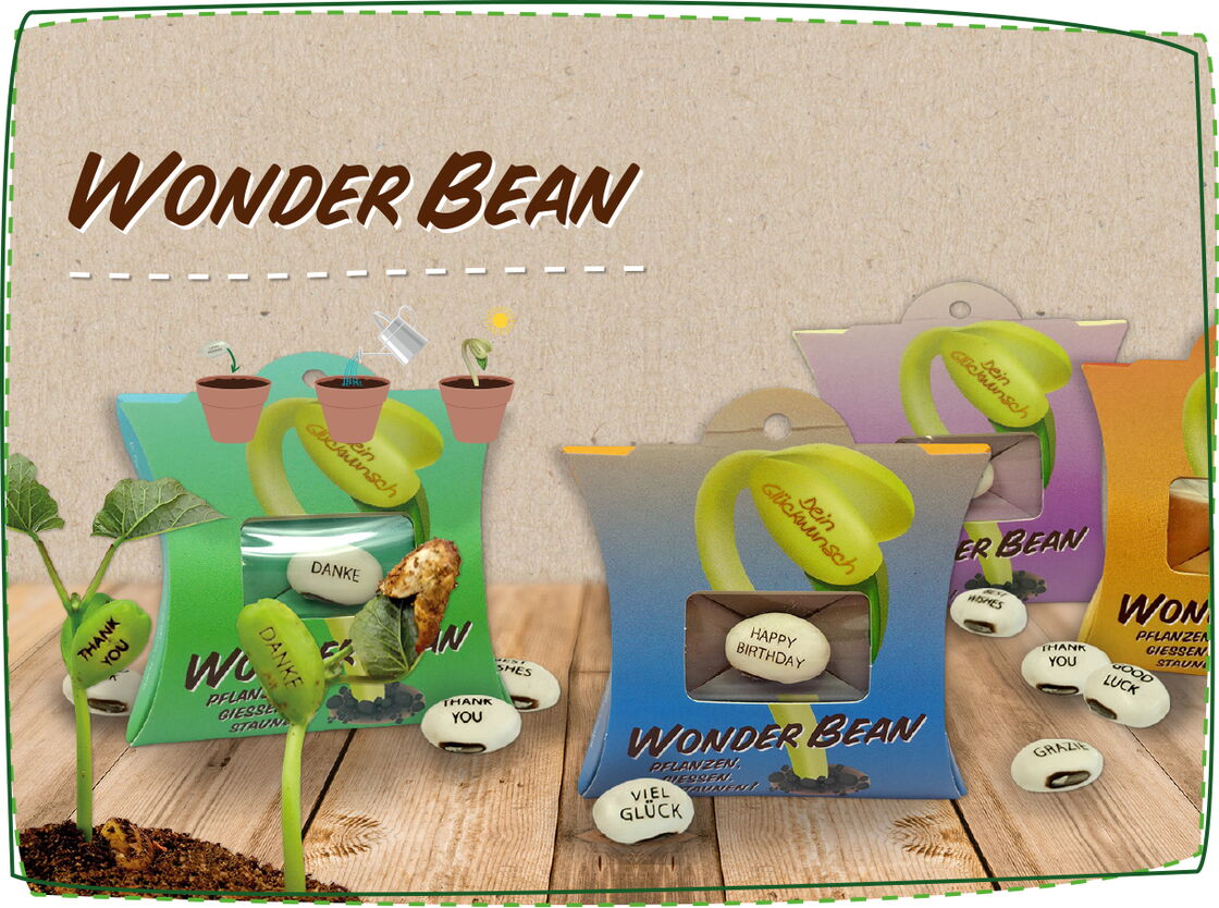 Wonder Bean - Feel Green - We create nature