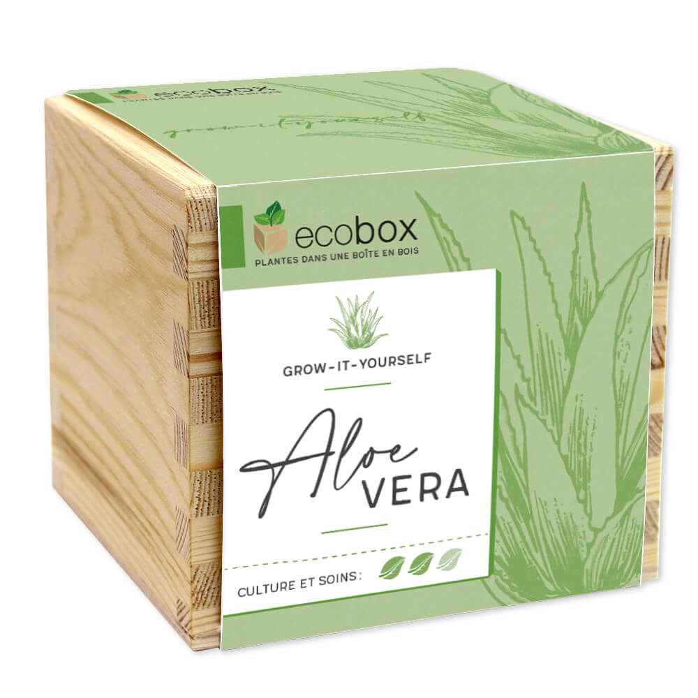 Aloe Vera - Feel Green - We create nature