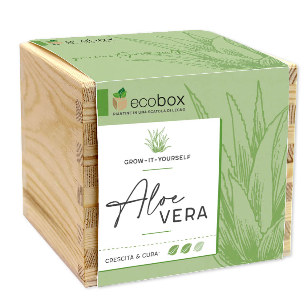 Aloe Vera - Feel Green - We create nature