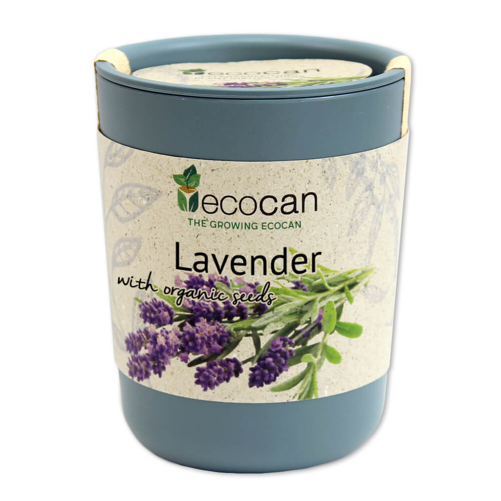 Lavender - Feel Green - We create nature