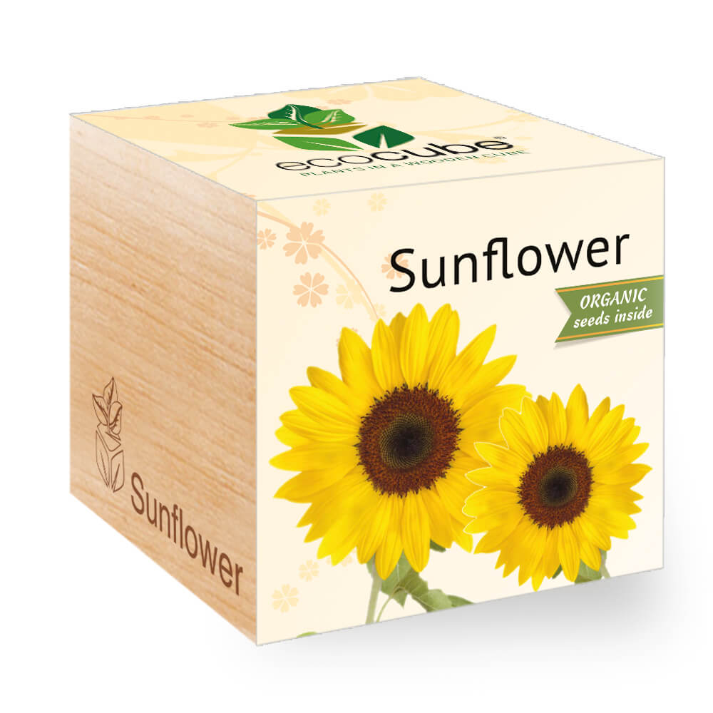 Sunflower - Feel Green - We create nature