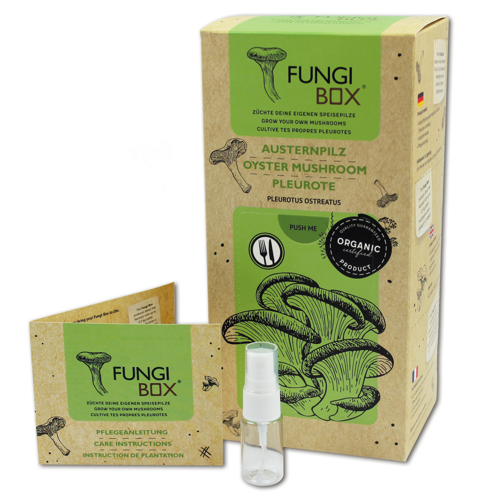 Fungi Box - Feel Green - We create nature
