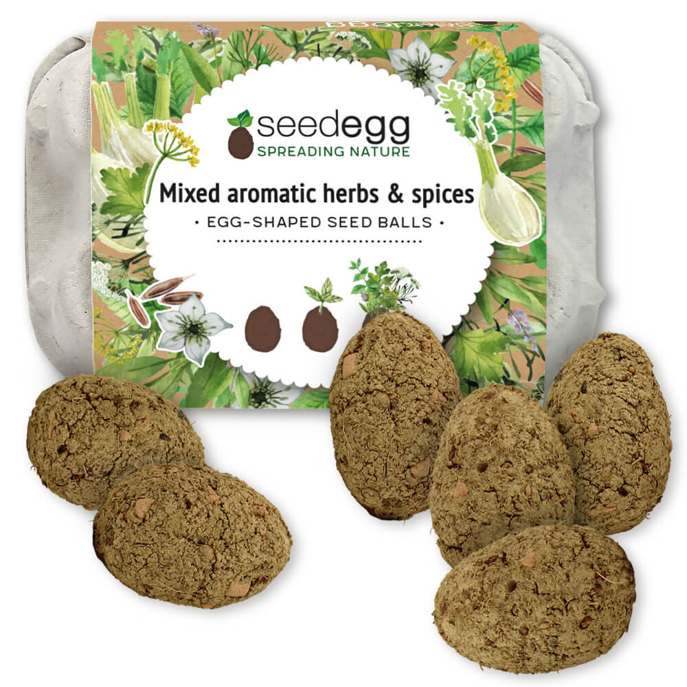Mixed aromatic herbs & spices (egg box, 6 pcs. natural) - Feel Green ...